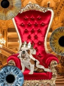 SWISS STYLE and GRID SYSTEMS – Graphic Design @ Farringtons